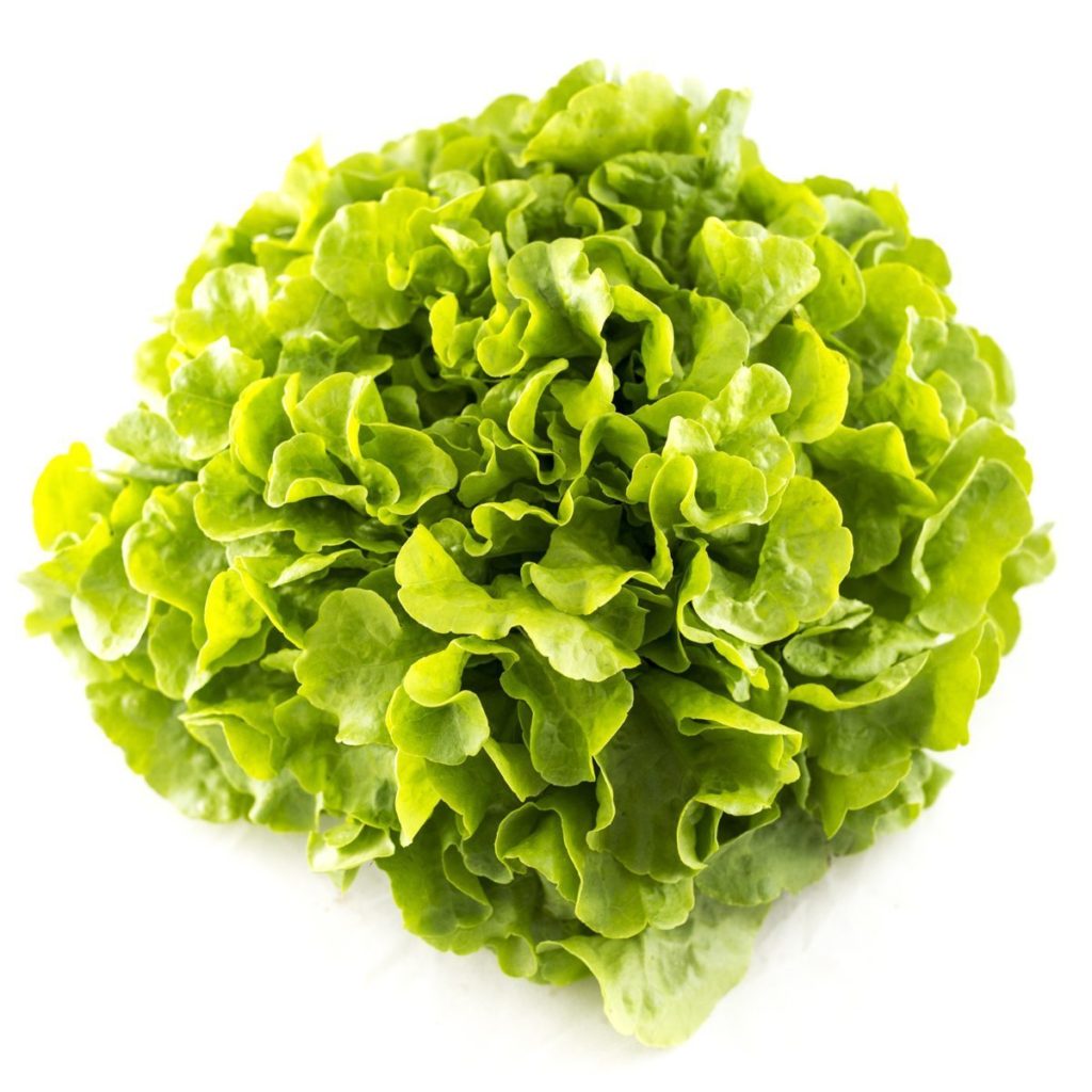 Zelena salata Puterica - Moja pijaca